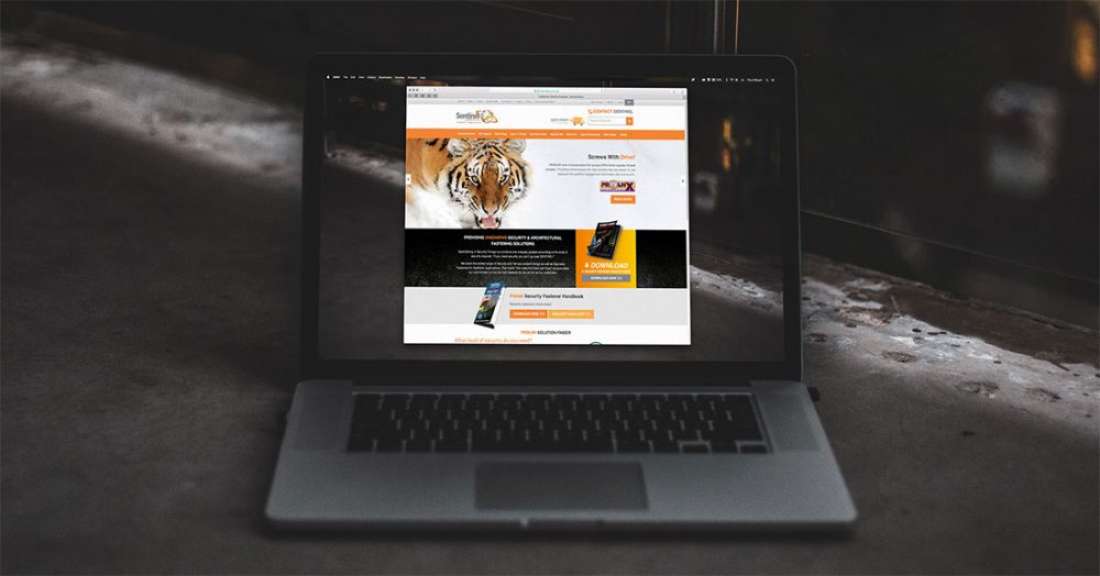 Sentinel Group - Sentinel Group