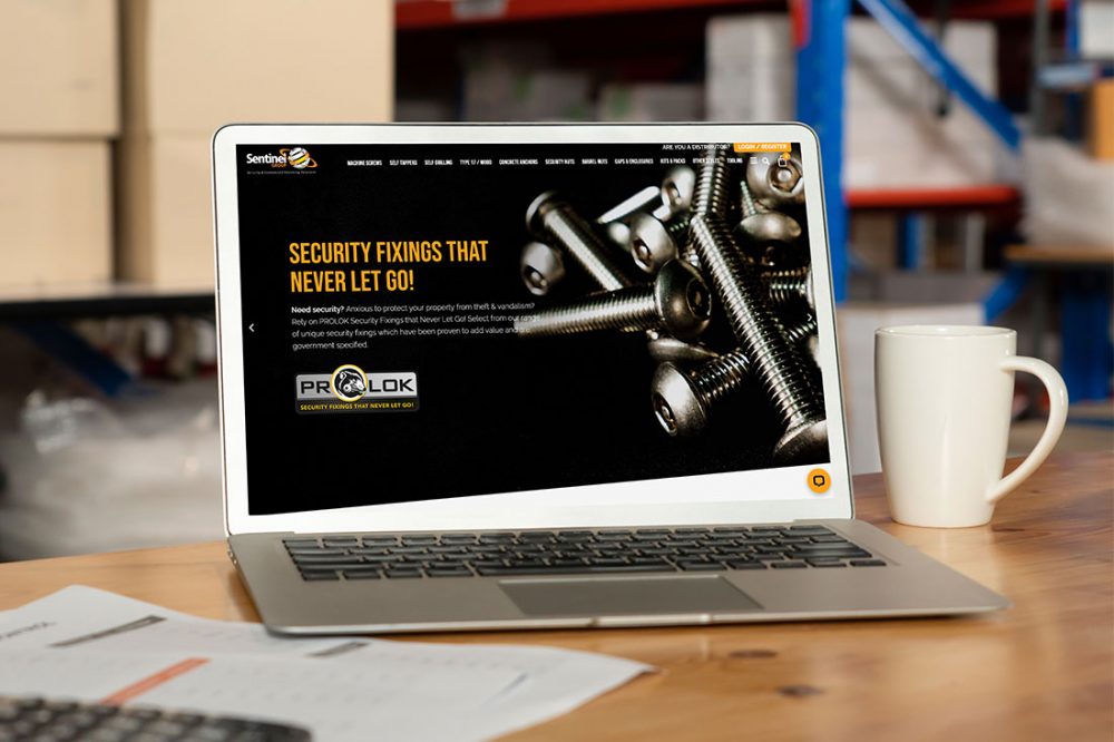 Sentinel Group - Sentinel Group